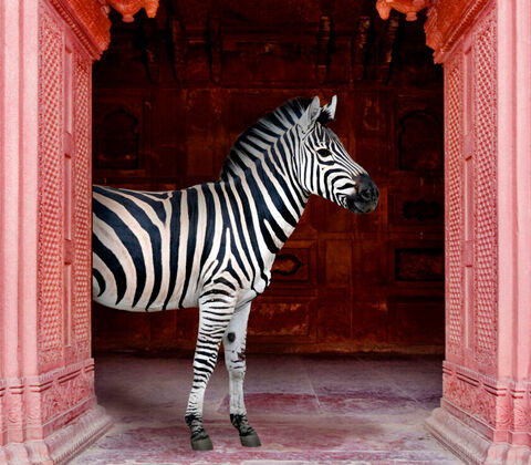 Shop Wall Art Prints by Style | Oliver Gal